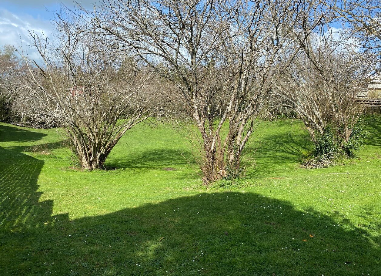 Reserve could be used for housing | Te Awamutu News